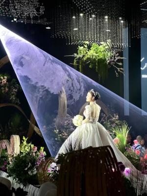 Cina DJ Matrimonio Sposa Magia Matrimonio Snow Machine&10W RGB Animation Laser Show Light Haze Machine Combinazione Effetto pioggia in vendita