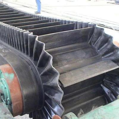China EP200 Skirt Conveyor Belt with 0-90 Degrees Inclination and Lightweight Multi-Functional Design for sale