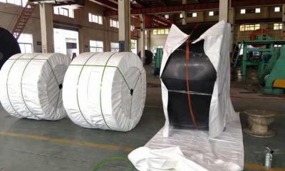 Cina Cintura trasportatrice a filo resistente agli acidi e agli alcali adatta per il trasporto di materiali nell'industria chimica in vendita