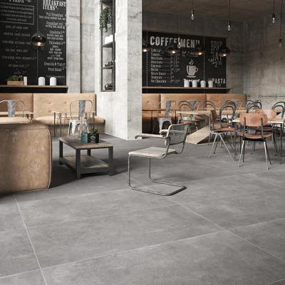 Cina 600x1200mm Porcellana Rustica Piastrelle Grado AAA Lucido Delicata Struttura Della Superficie Pulita in vendita