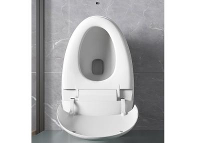 Cina Un pezzo solo ceramico del pavimento del sensore del bagno di HOMIXE del bidet a livello automatico elettrico di lusso del Wc in vendita