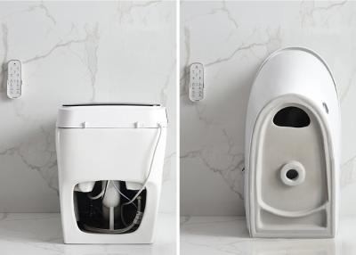 Cina Toilette astuta del bagno di toilette del bidet fisso 220V/110V della ciotola sanitaria in vendita