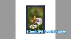 8 Inch IPS TFT LCD Display with Capacitive Touch