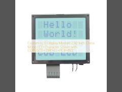 Custom 2.92 Inch Monochrome LCD Module Solution
