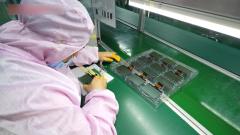 Monochrome LCD Display Power-On & Segment Inspection