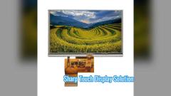 High Resolution Resistive Touch Screen Display Module
