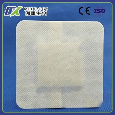 Cina cannula trasparente IV di 5*5.7cm che veste unità di elaborazione non tessuta per il bambino in vendita