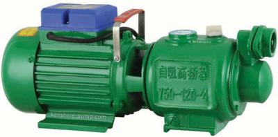 China ZGD Self priming screw pump high pressure single phase 50HZ,220V for sale