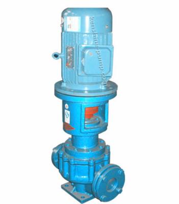 China LRY Vertical heat conduction oil centrifugal pump high temperature no leakage magnetic pump for sale