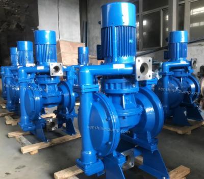China DBY-L Vertical electric diaphragm pump self priming sewage pump for sale