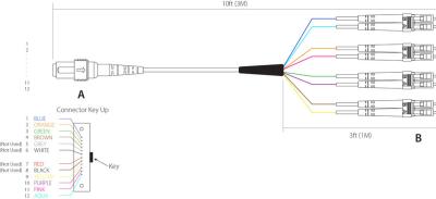 China data center 8 Core MPO MTP Patch Cord 40G Mpo To Lc Breakout Cable for sale