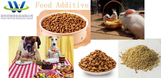Hot Selling Best Quality L-Lysine