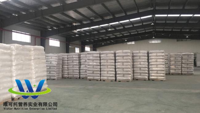 Feed Supplement Feed Grade 98.5% L-Lysine HCl for Animals
