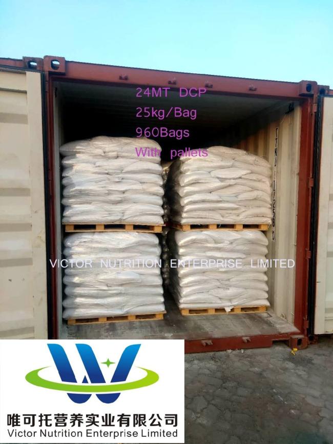 Feed Grade Powder DCP Dicalcium Phosphate 18% China Factory Manufacture High Quality
