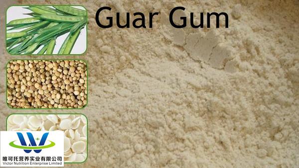 Food Grade Guar Gum CAS 9000-30-0