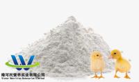 China 98.5% L-Lysine Feed Additives Customized Request Accepted with CCC Certification for sale