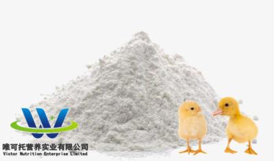 China Verbesserung der Futtermittelproduktion mit L-Lysin-Futtermittelzusatzstoffen Ausgabe 5000 t/Monat Pulver zu verkaufen