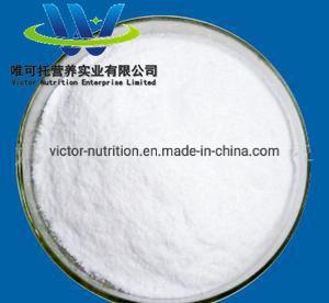 China Paper Packaging Material Vitamin C Sodium Salt Food Additives FCC/USP/BP/EP Certified for sale