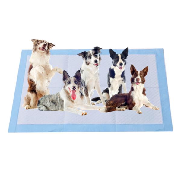 Quality High Absorbency Pet Cat Training Pad Extra Large Dog Puppy Toilet Training Mat for sale