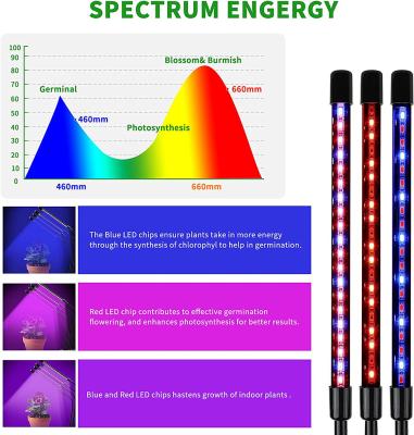 China 5730SMD rode Blauwe LEIDENE de Groeilamp met Tijdopnemer Regelbare Gooseneck Te koop
