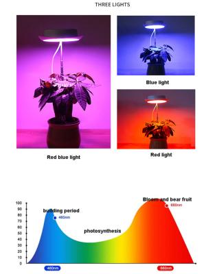 Cina 5V Dimmable 3 ore del LED di crescita della lampada di luce progressiva principale rossa del CE in vendita