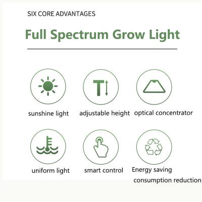 Cina 9W lampada regolabile 4000k di crescita di altezza LED per la pianta dell'interno dello scrittorio in vendita