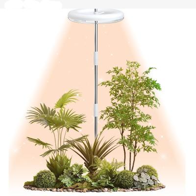 Cina 9W lampada regolabile 4000k di crescita di altezza LED per la pianta dell'interno dello scrittorio in vendita