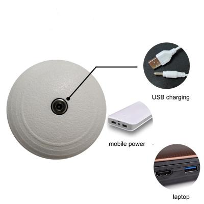 Cina Illuminazione della lampada della luna di 16 colori LED, 3D che stampa la luce notturna ricaricabile di USB in vendita