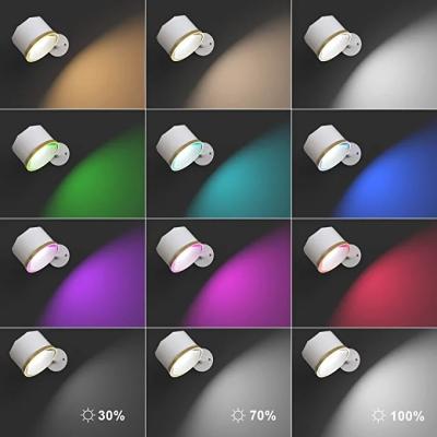 Cina RGB che legge lampada da comodino ricaricabile, luce magnetica senza fili della parete con la ripresa esterna in vendita
