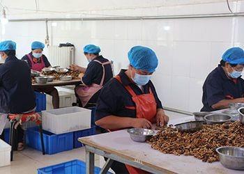 Fornitore cinese verificato - Hebei Suguo International Co., Ltd