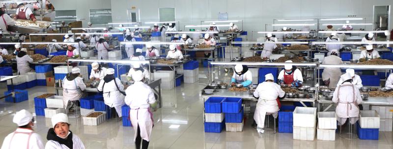 Fornitore cinese verificato - Hebei Suguo International Co., Ltd