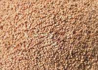 China Crushed walnut shell for sale