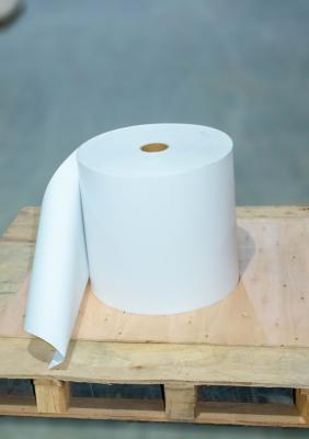 Cina Carta termica resistente agli graffi Jumbo Roll ad alta viscosità Stong Sticky Back Type in vendita