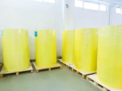 China Movable Glue Type Self Adhesive Release Liner Roll  Paper Clear PET SGS Certified for sale