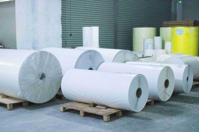China Movable Glue Type Self Adhesive Release Liner Roll  Paper Clear PET SGS Certified for sale