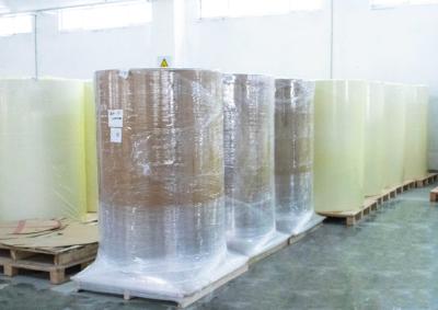 China Oil Glue Type Synthetic Label Material Clear Roll Labels Ordinary Sticky for sale