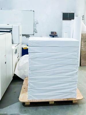 China Oil Glue Type Synthetic Sticker Label , Simple Sticky Adhesive Label Roll for sale