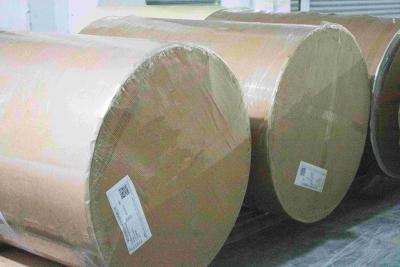 China Release Liner Kraft  Jumbo Printing Paper Roll 80u Surface Thickness Paper Cell Type for sale
