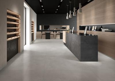 China Micro Cement Indoor Tiles Medium Gray Antique Floor Tiles 600*1200mm for sale