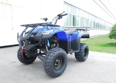 Cina Motore raffreddato ad acqua blu di utilità ATV dell'azienda agricola 250CC con stile del martello in vendita