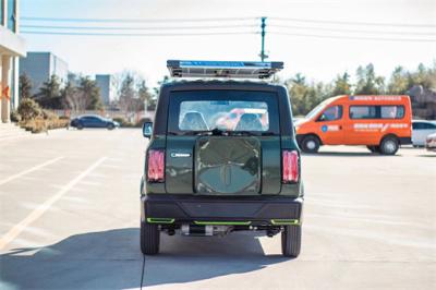 Cina 2000w quattro Wheeler Electric Car Passenger Four Wheeler Battery Car 45-60km/H in vendita
