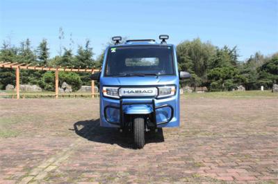 Cina Weika 300 Trasporto elettrico pick up camion triciclo elettrico auto passeggeri in vendita