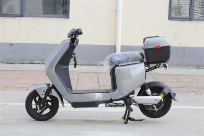 Cina Carraio elettrico Ev Two Wheeler della batteria due di Wheeler Bike 500w del passeggero due in vendita