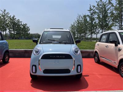 Cina 3000W quattro ruote auto elettrica elettrica passeggeri conveniente caravan in vendita