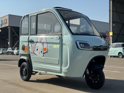 Cina Haimi 2 1000W triciclo elettrico a due posti a tre porte in vendita