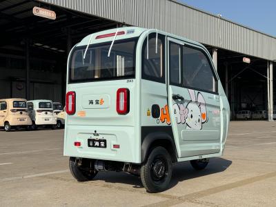 Cina Haimi 2 1000W triciclo elettrico a due posti a tre porte in vendita