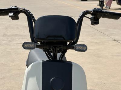 China L1-D 350W neues elektrisches Zweiradfahrzeug zu verkaufen