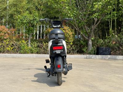 China L1-D 350W neues elektrisches Zweiradfahrzeug zu verkaufen