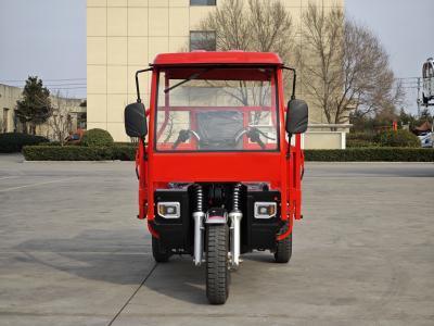 Cina B05 Veicolo merci a tre ruote carico nominale 2000 kg in vendita