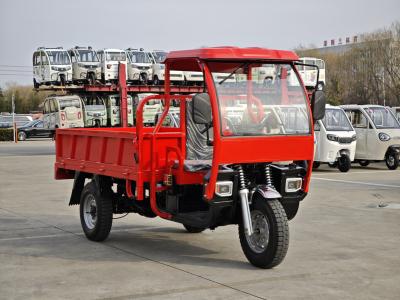 Cina B05 Veicolo merci a tre ruote carico nominale 2000 kg in vendita